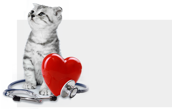 Shanghai GlinX Biotechnology Co., Ltd,-Service & Education