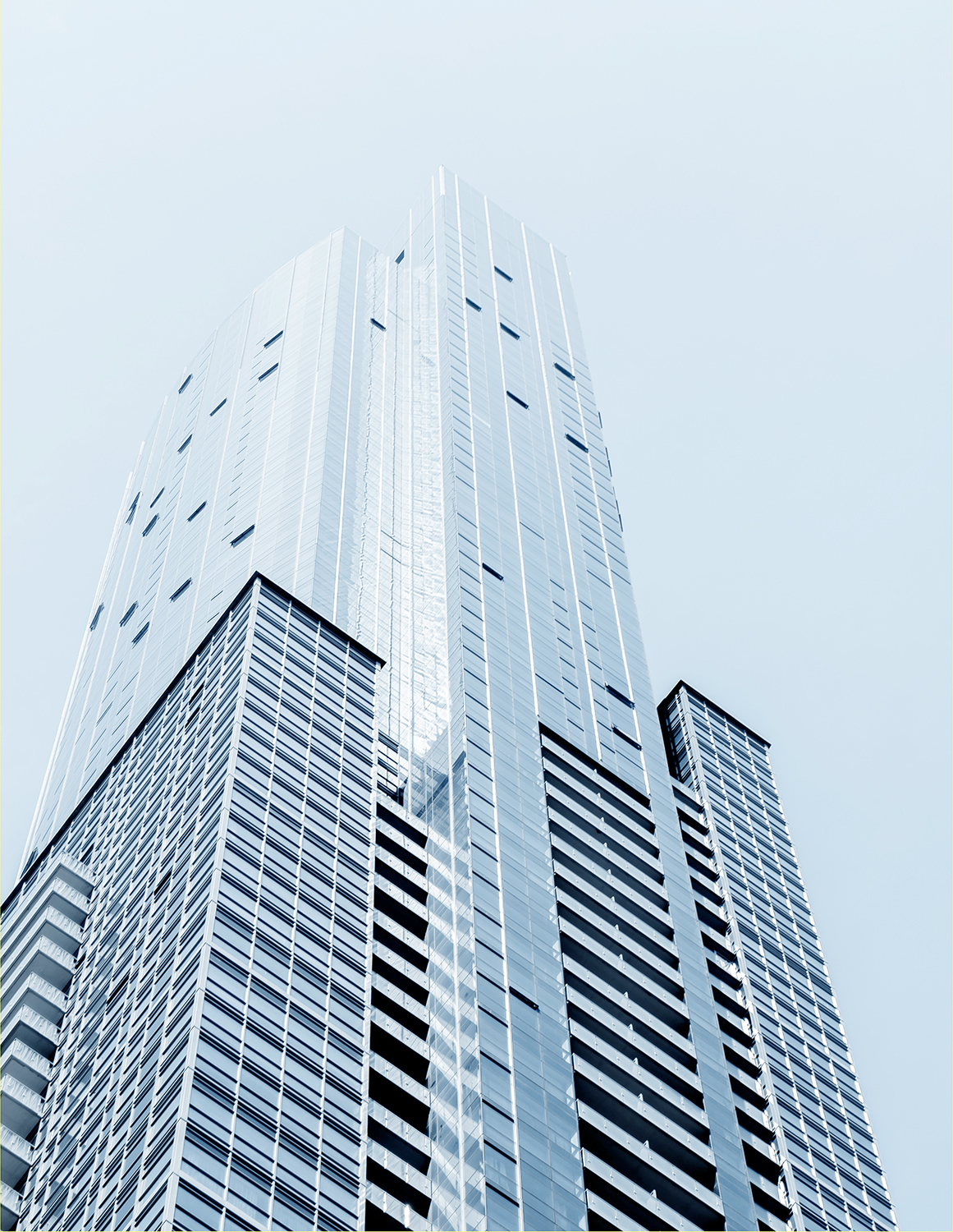 Well Strong Group co. Limited-About Us