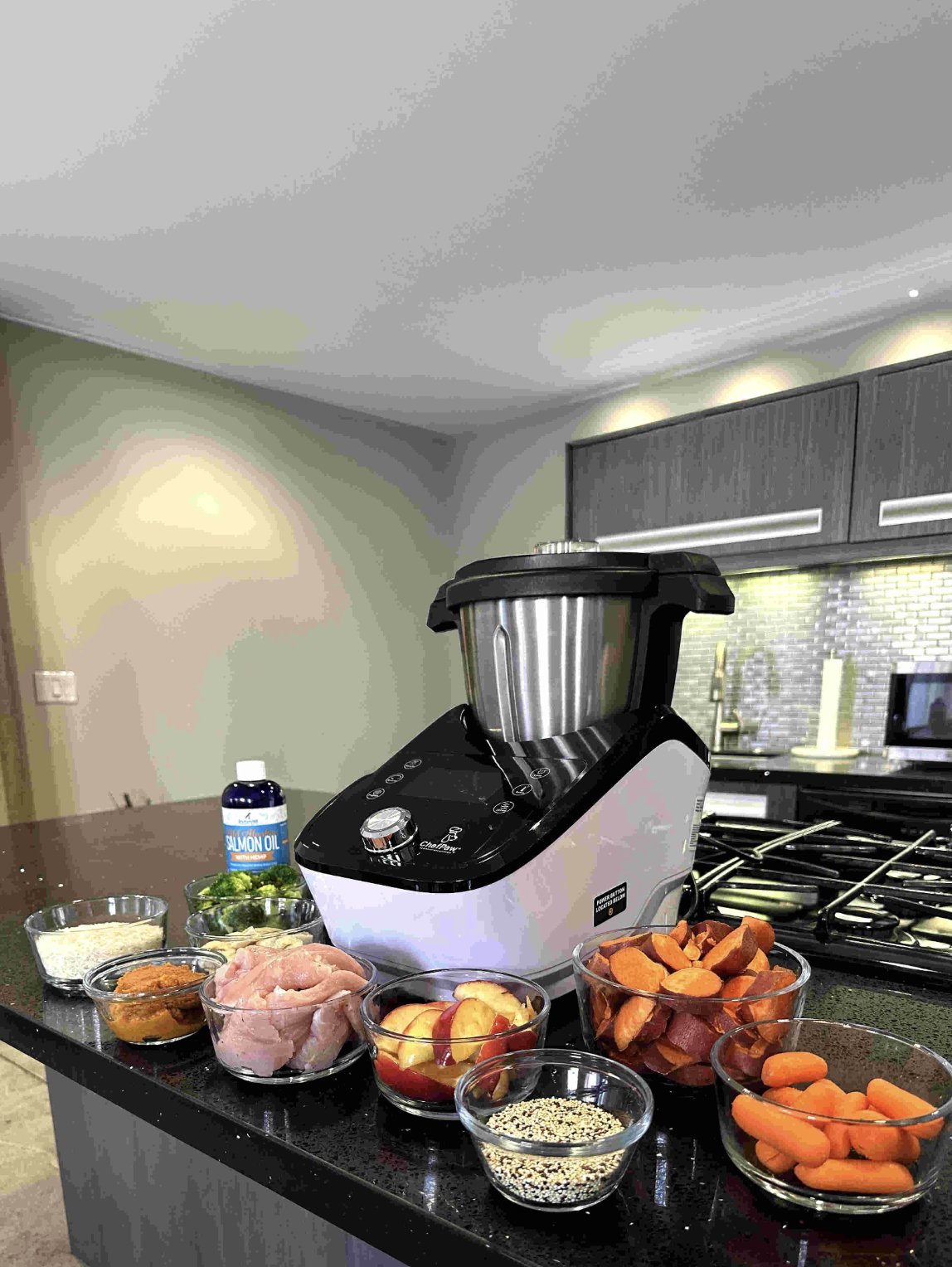 ChefPaw Pet Food Maker | Fresh Meals for Dogs, Made Simple and Smart ...