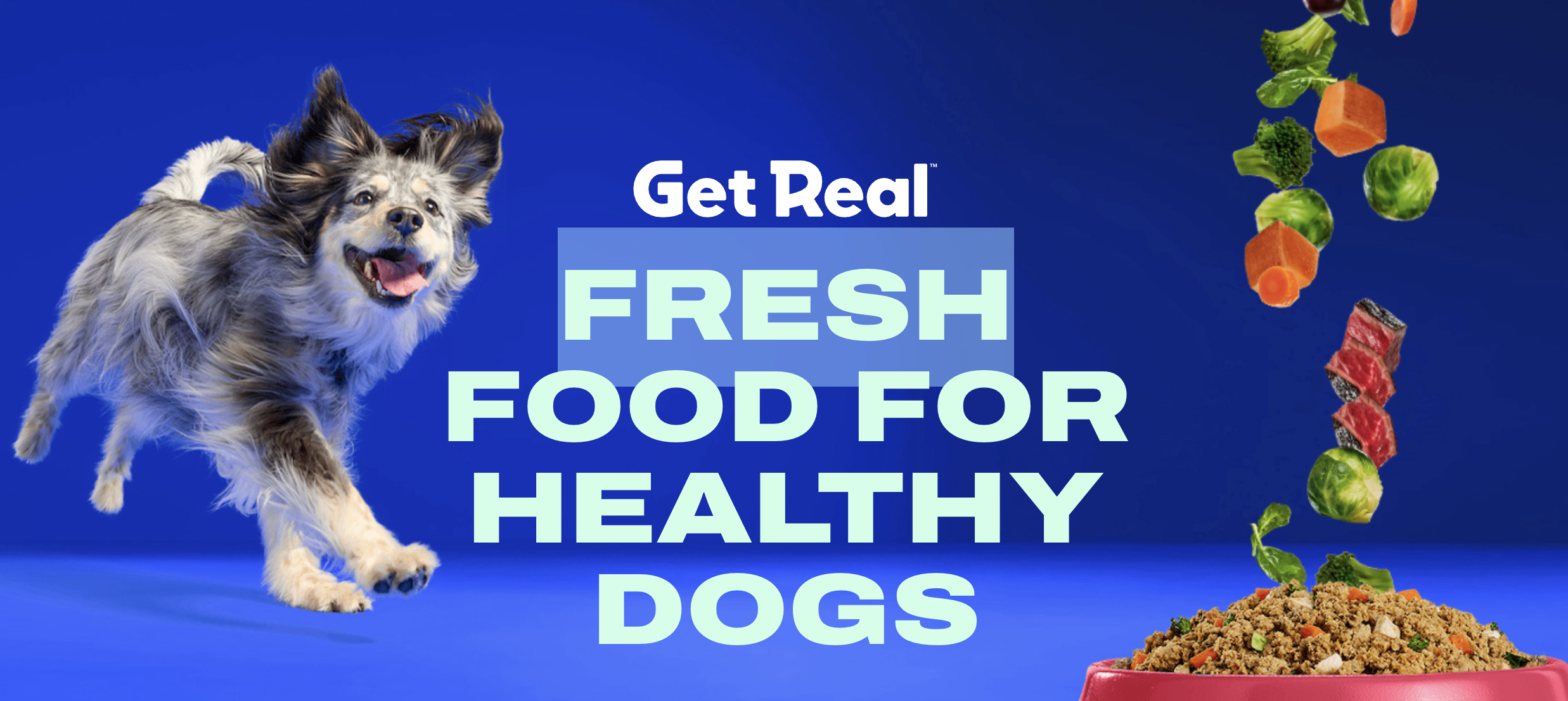 Chewy’s Get Real Fresh Dog Food | Fresh, Simple & Actually Exciting-PUFFUNY