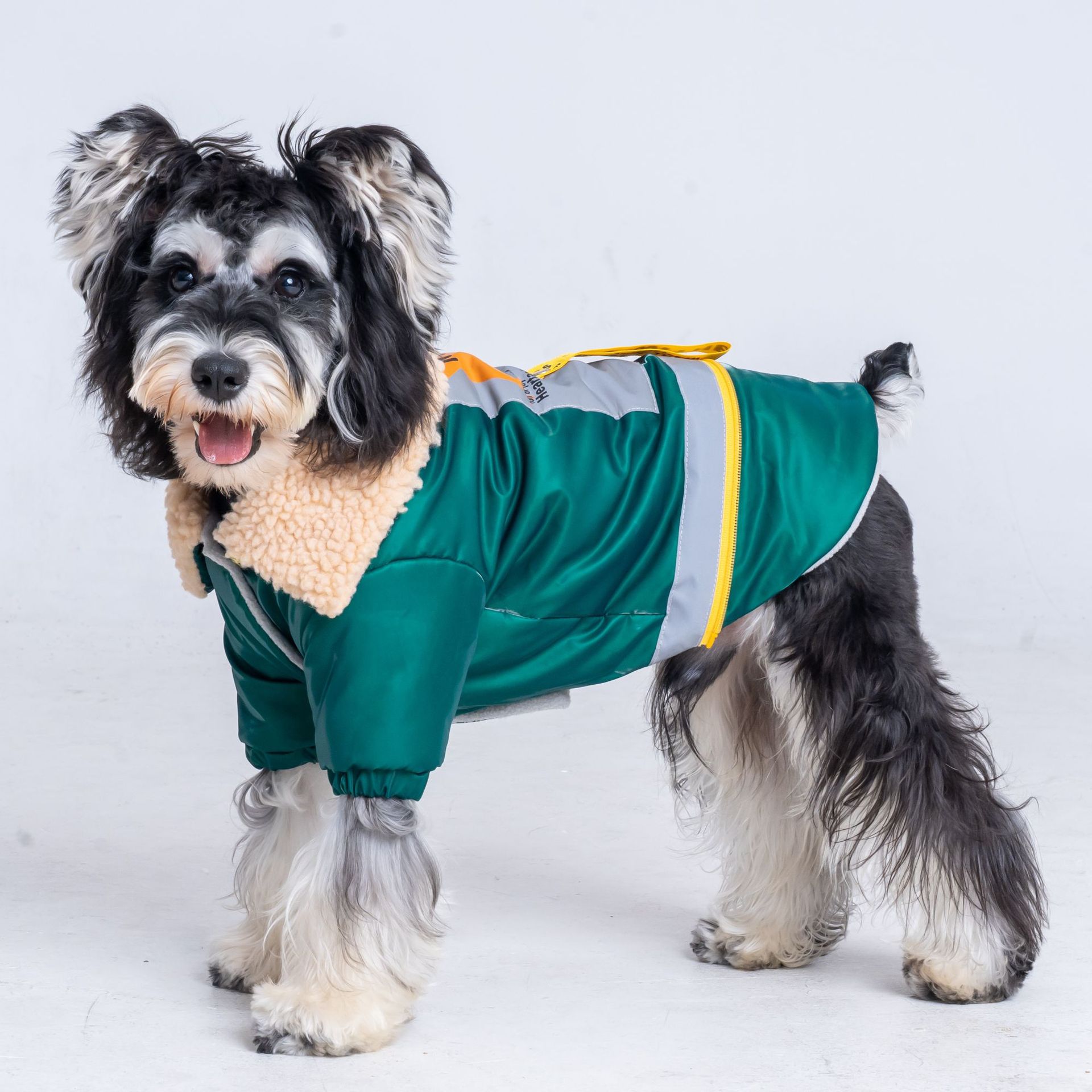 2-in-1 Detachable Dog Jacket & Pants – Stylish Waterproof Winter Coat ...