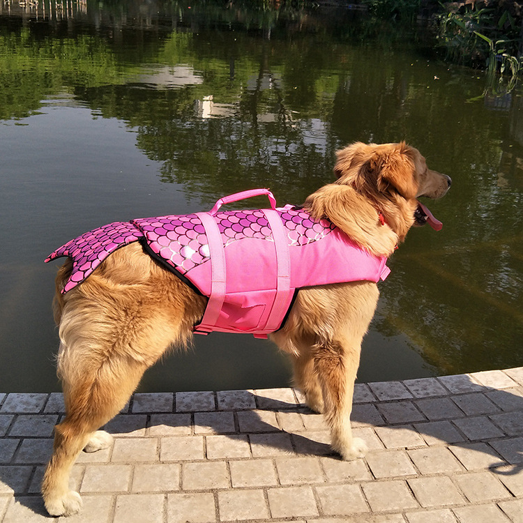 Shark & Mermaid Dog Life Jackets - Safe and Stylish Pet Swimwear-SHOP ...