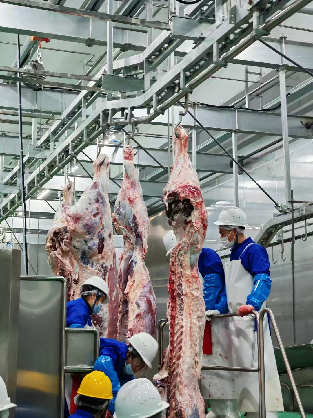 How to Build A Modern Turnkey Complete Cattle Cow Beef Slaughterhouse ...