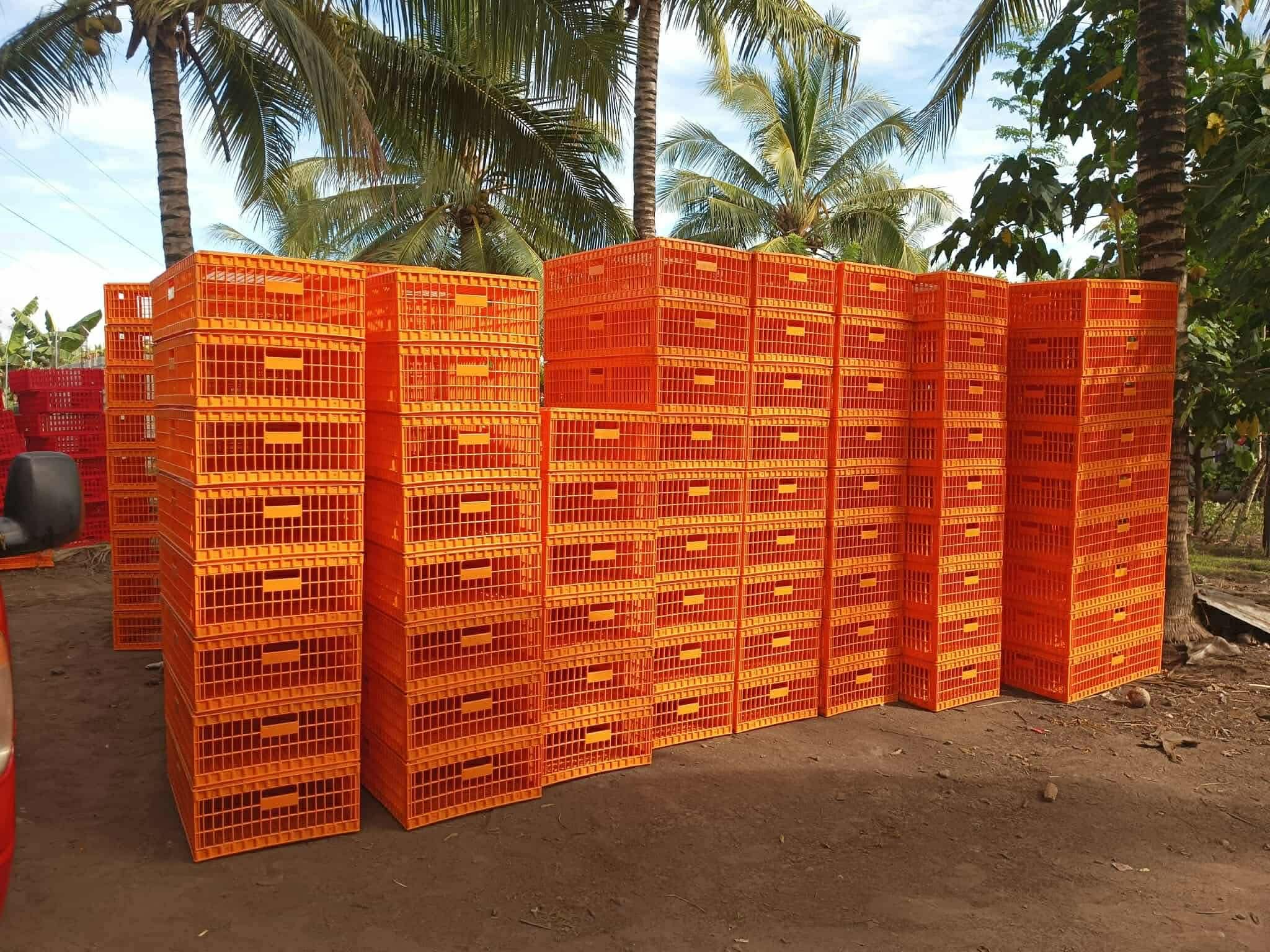 poultry birds chicken broiler harvest transport crates coops for quail ...